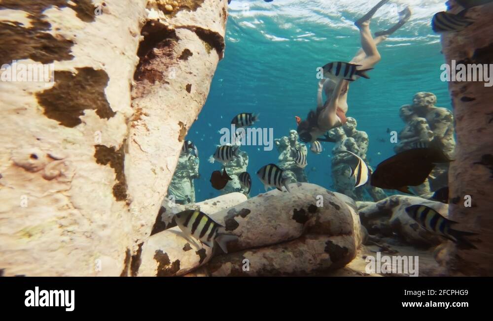 Sculpture of a diving woman Stock Videos & Footage - HD and 4K Video ...
