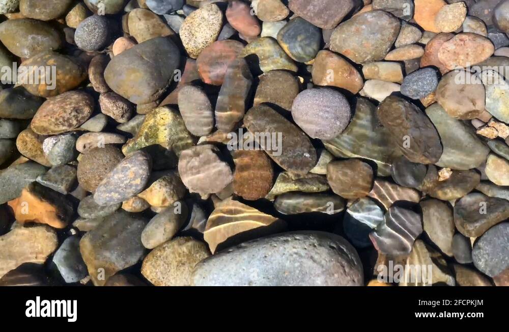 Pebbles rocks in water Stock Videos & Footage - HD and 4K Video Clips ...