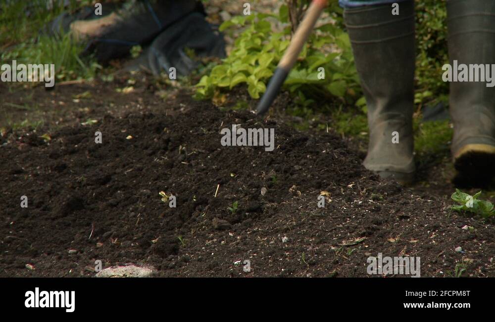 Rake and hoe Stock Videos & Footage - HD and 4K Video Clips - Alamy