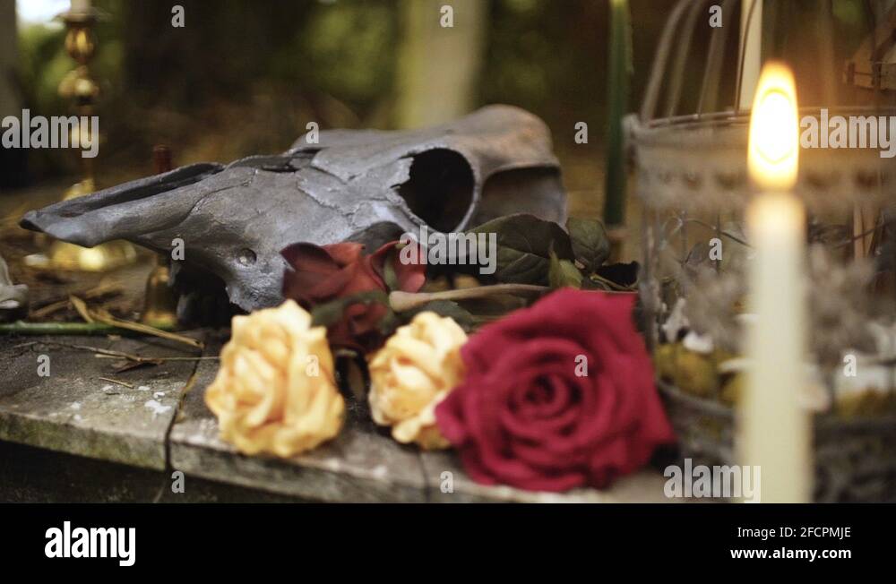 Skull with roses Stock Videos & Footage - HD and 4K Video Clips - Alamy