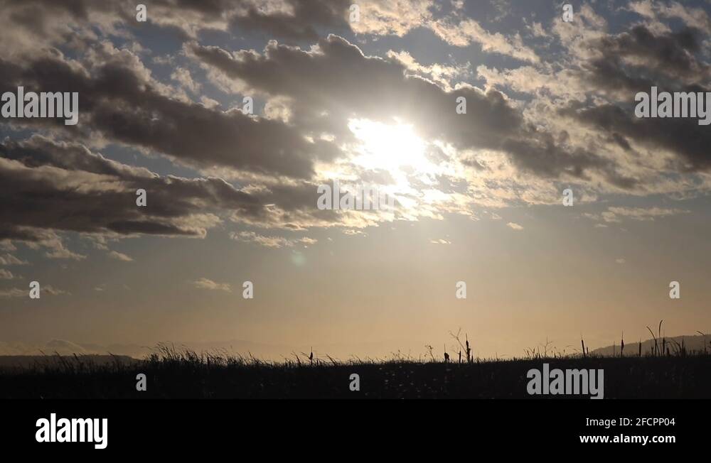Windy grass under epic clouds and sun with rays shining down with ...