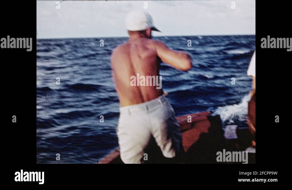 Lean tuna Stock Videos & Footage - HD and 4K Video Clips - Alamy