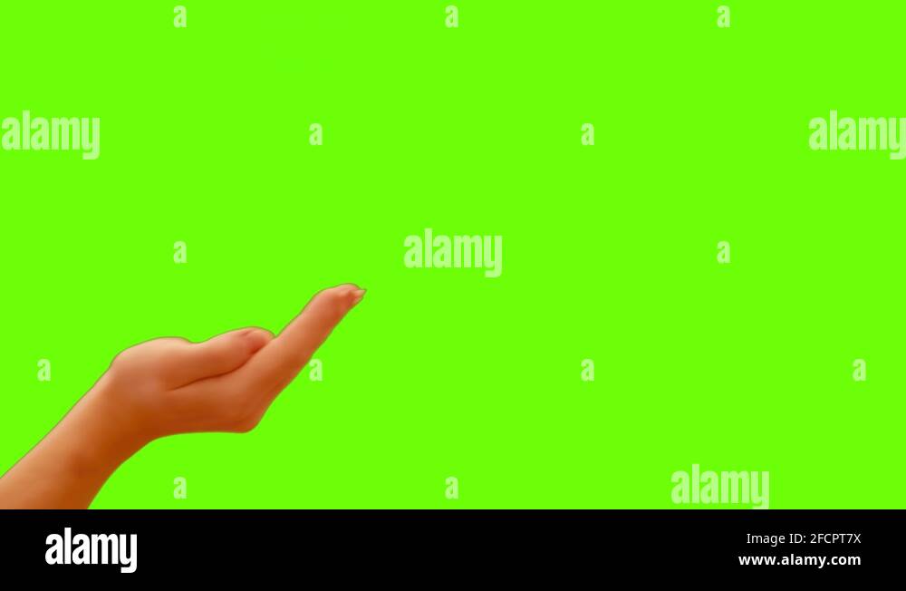 Green Screen Caucasian Hand Reaching Out With Palm Cupped Stock Video ...