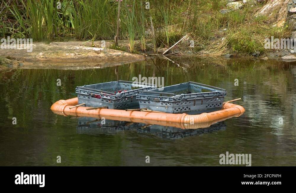 Reed raft Stock Videos & Footage - HD and 4K Video Clips - Alamy