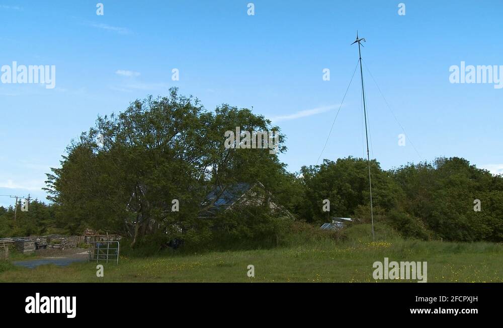 House behind tree Stock Videos & Footage - HD and 4K Video Clips - Alamy