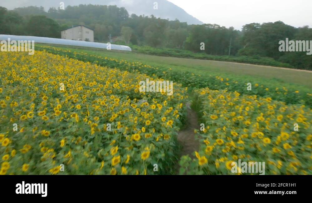 Flying circle Stock Videos & Footage - HD and 4K Video Clips - Alamy