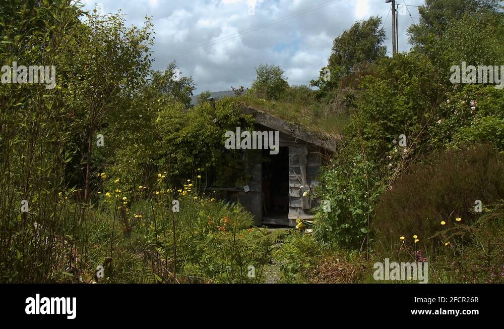 A thicket of flowers Stock Videos & Footage - HD and 4K Video Clips - Alamy