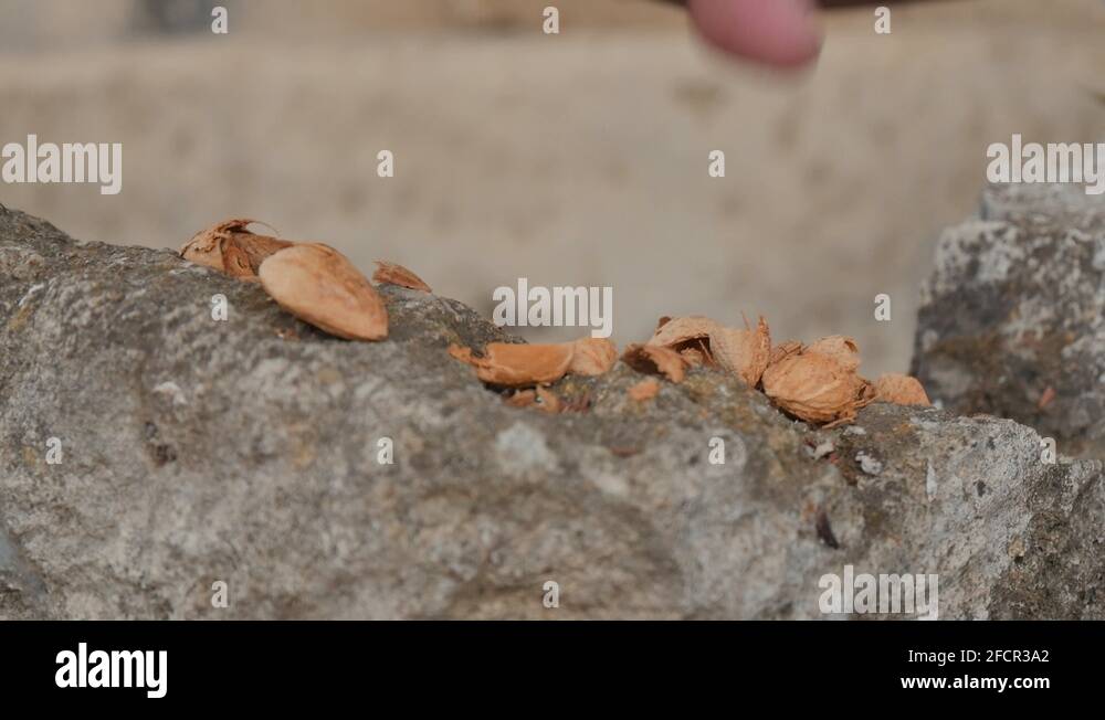 Resourceful man Stock Videos & Footage - HD and 4K Video Clips - Alamy