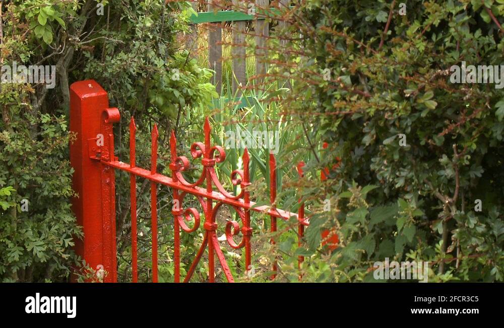 Hedge with gate Stock Videos & Footage - HD and 4K Video Clips - Alamy