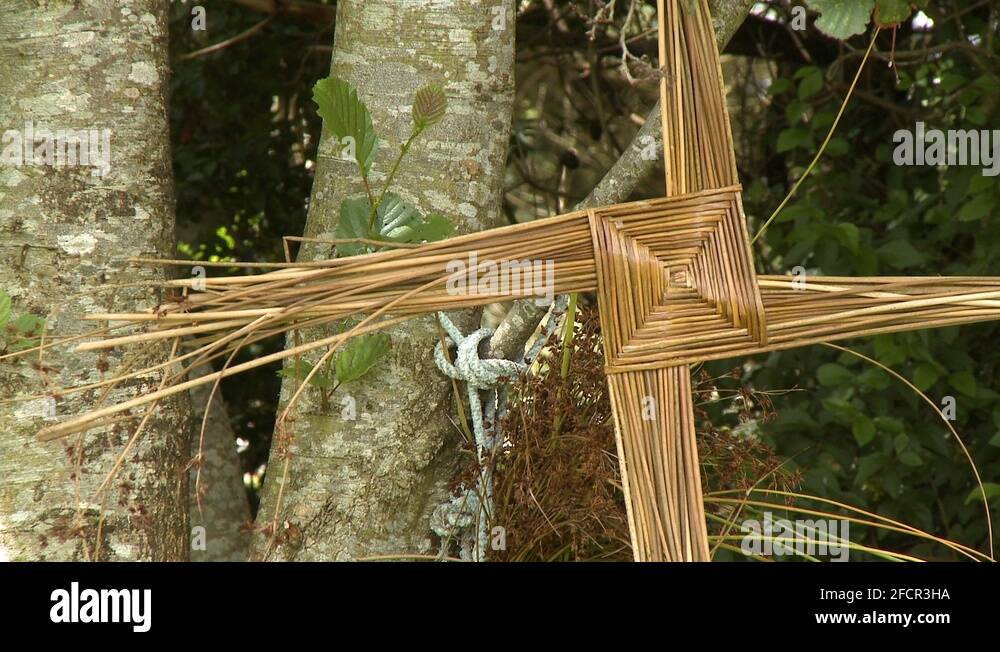 Spindle tree craft Stock Videos & Footage - HD and 4K Video Clips - Alamy