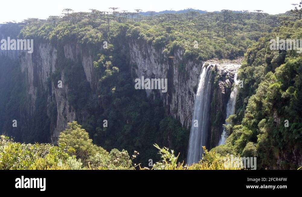 Roraima national forest Stock Videos & Footage - HD and 4K Video Clips ...
