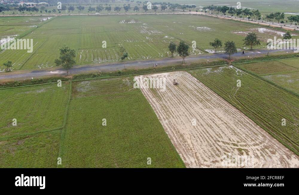 Rice farming tractor Stock Videos & Footage - HD and 4K Video Clips - Alamy