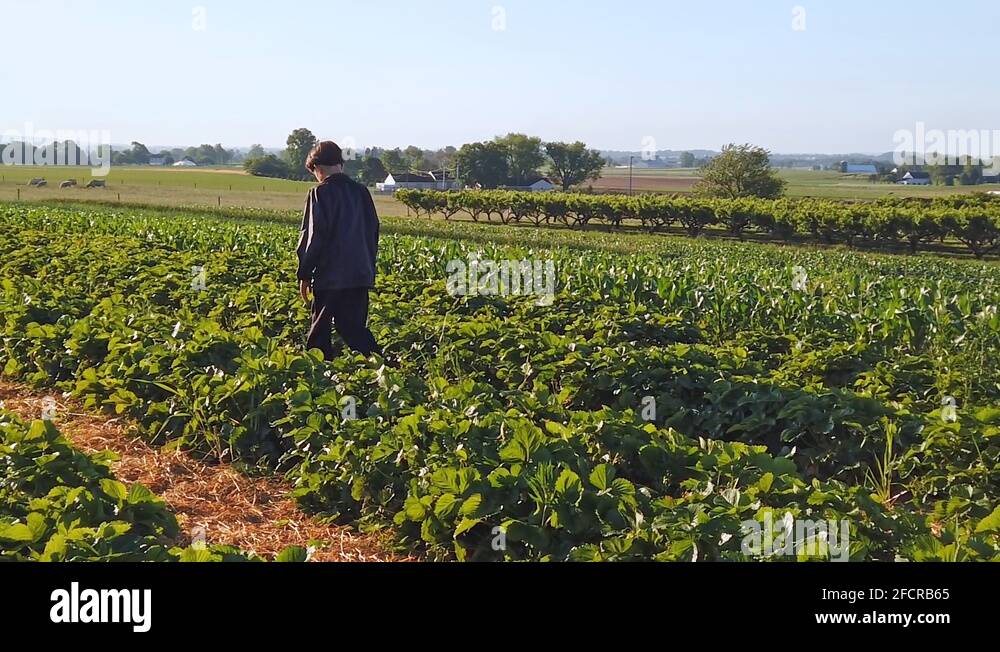 Boy facing viewer Stock Videos & Footage - HD and 4K Video Clips - Alamy