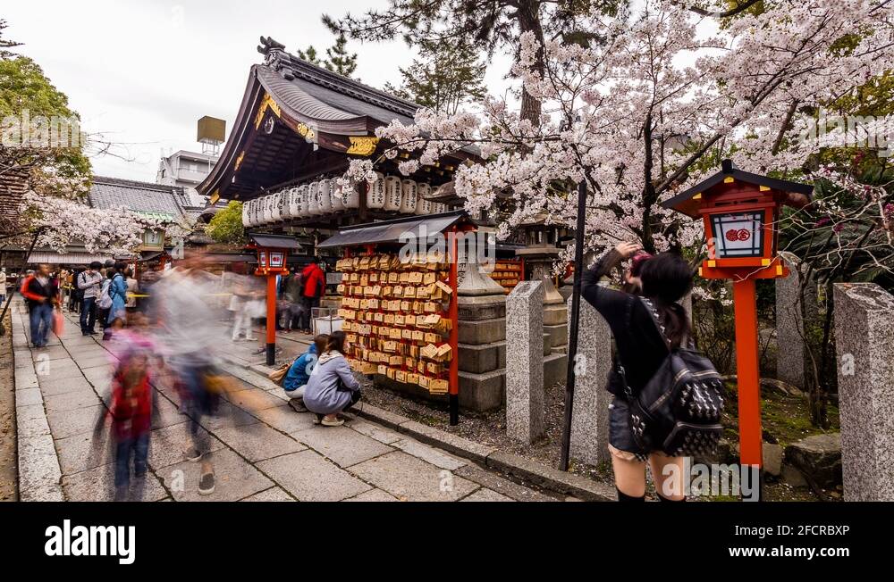 Japanese people praying at a shrine in Kyoto time lapse Stock Video ...