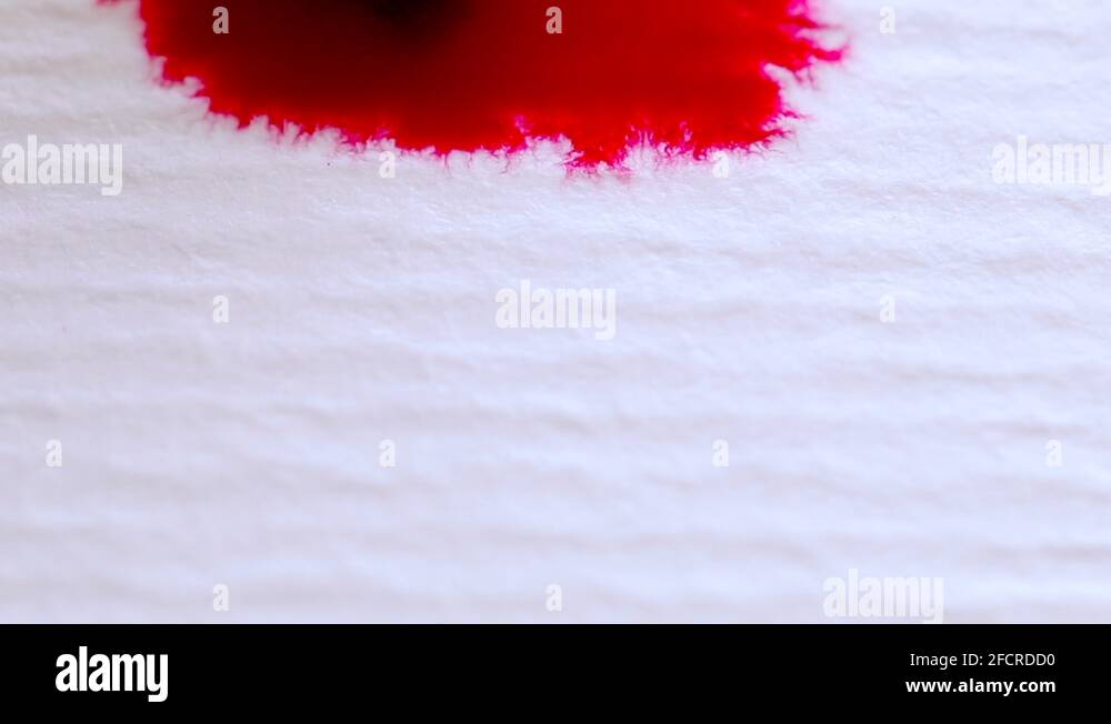RED blood ink being splattered on white background. Ink expanding for ...