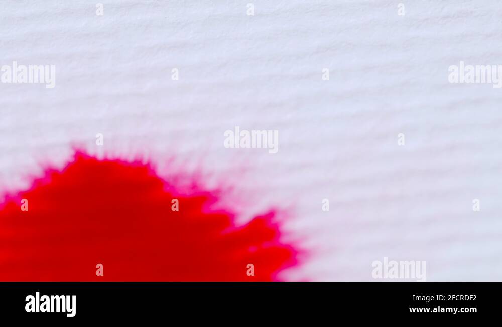 Splattering red color of blood on parchment paper on white macro ...