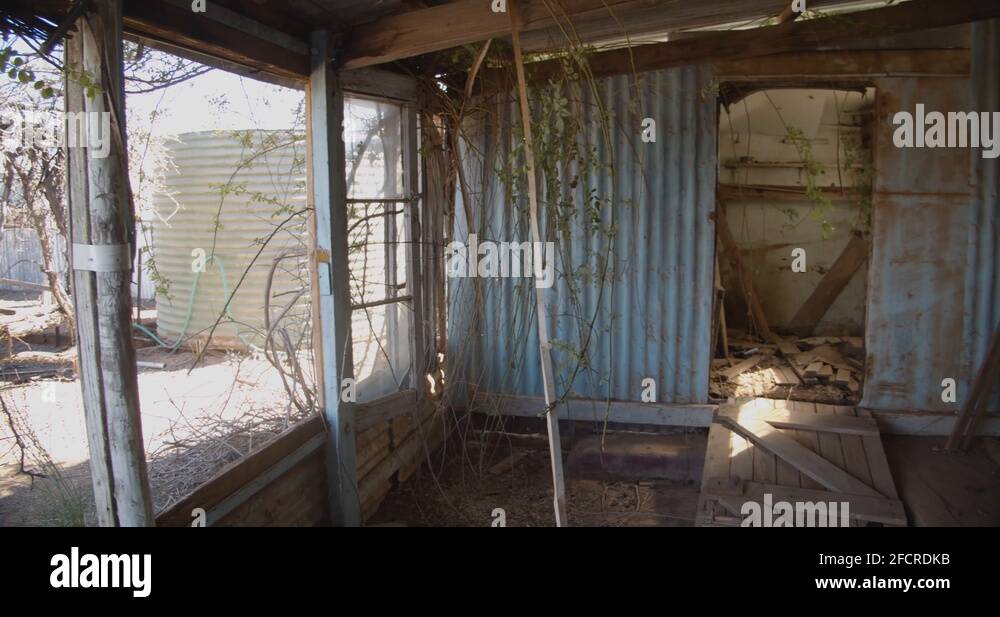 Decaying remains Stock Videos & Footage - HD and 4K Video Clips - Alamy