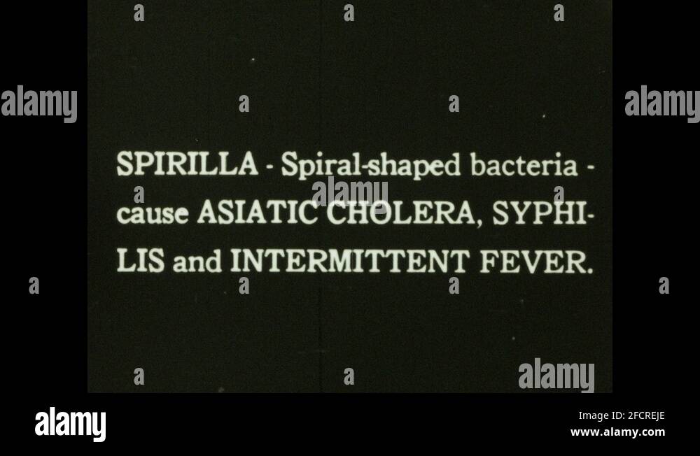 White text vector vectors Stock Videos & Footage - HD and 4K Video Clips - Alamy