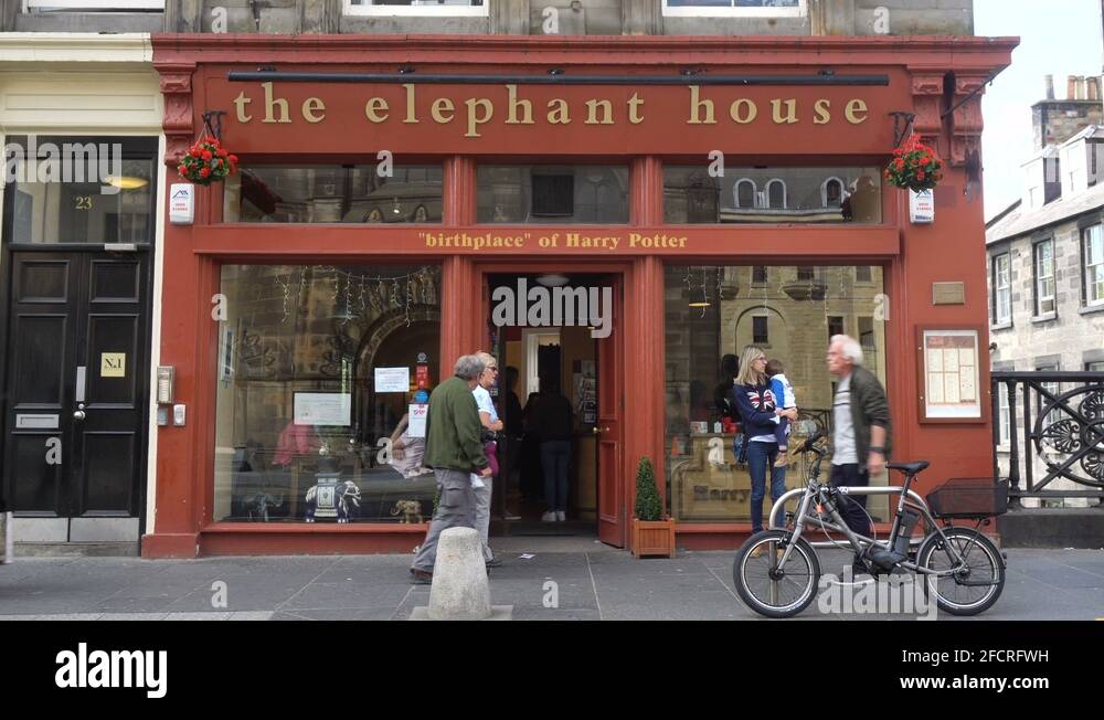 The elephant house and edinburgh Stock Videos & Footage - HD and 4K ...