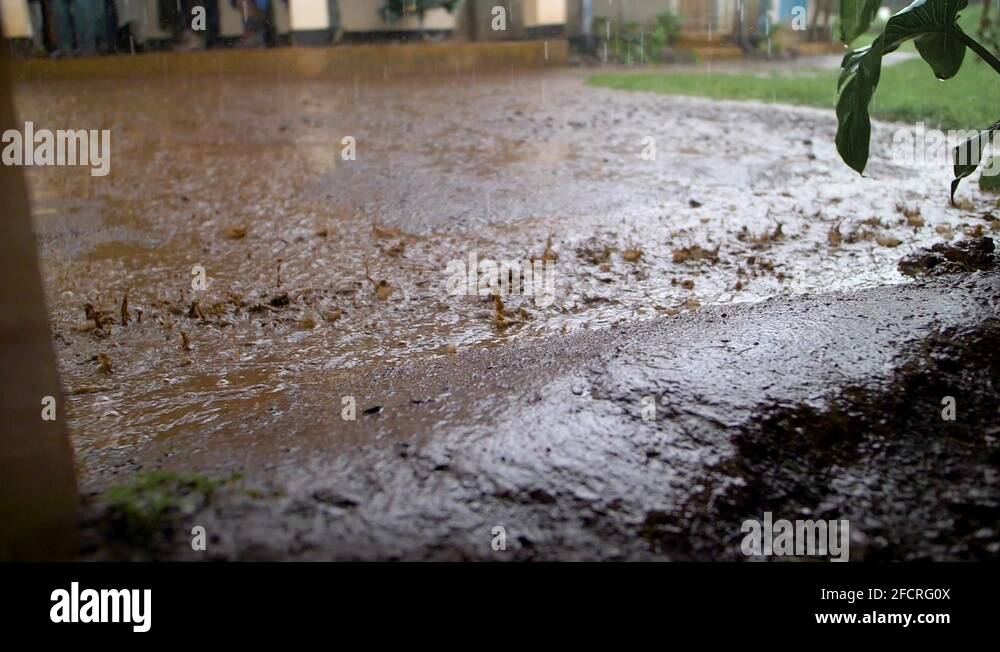 Mud muddy rain rainy Stock Videos & Footage - HD and 4K Video Clips - Alamy
