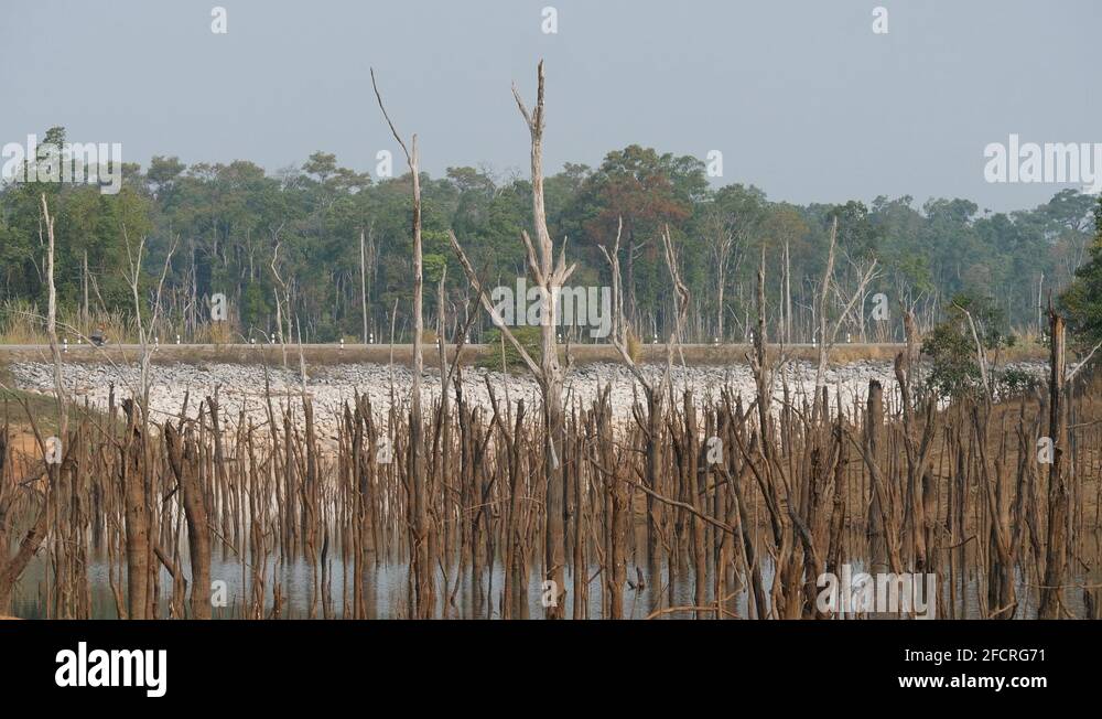 Reservoir loop Stock Videos & Footage - HD and 4K Video Clips - Alamy