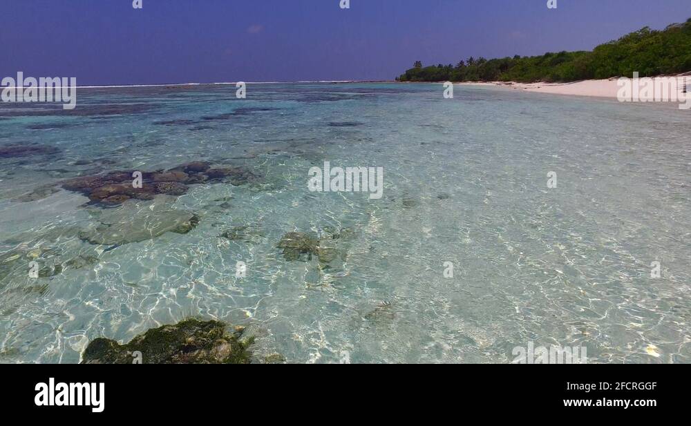 Corals in sand Stock Videos & Footage - HD and 4K Video Clips - Alamy