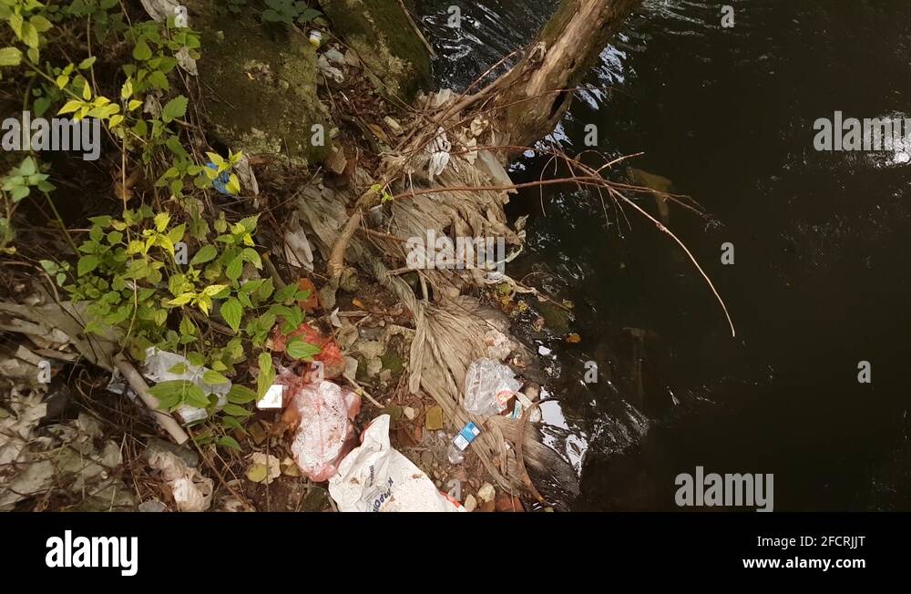 Clean up river waste Stock Videos & Footage - HD and 4K Video Clips - Alamy