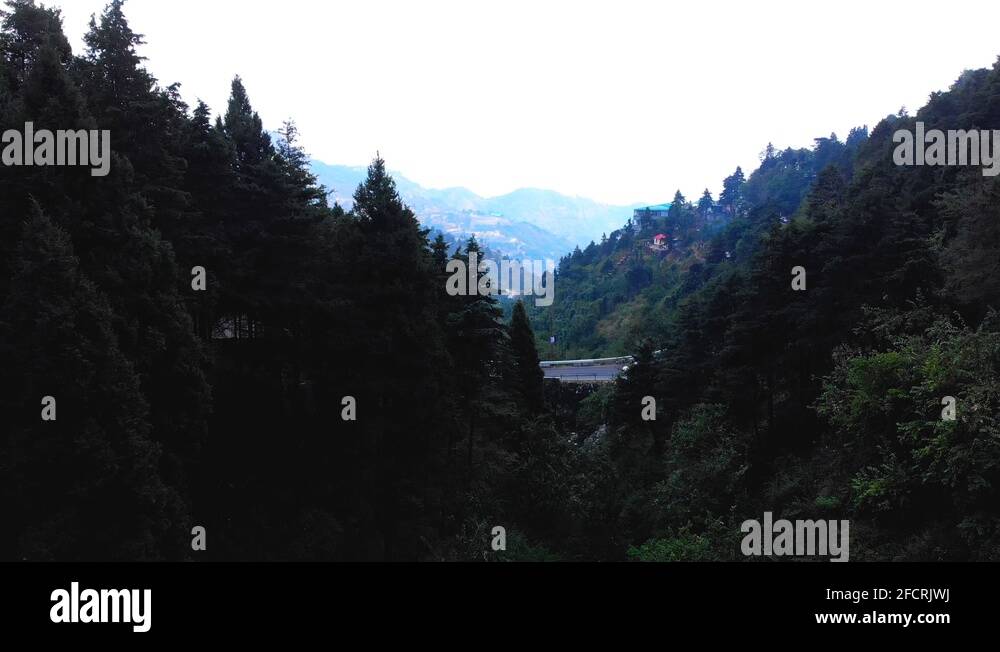 Dehradun trees Stock Videos & Footage - HD and 4K Video Clips - Alamy