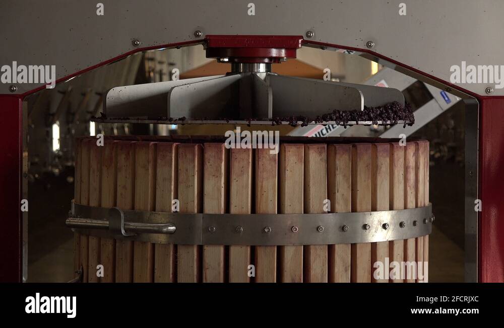 Hydraulic wine press mixing during fermentation process in barrel or ...