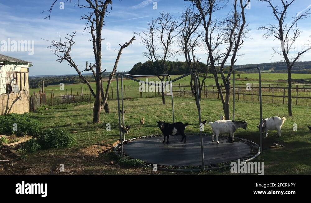 Rural france farm Stock Videos & Footage - HD and 4K Video Clips - Alamy