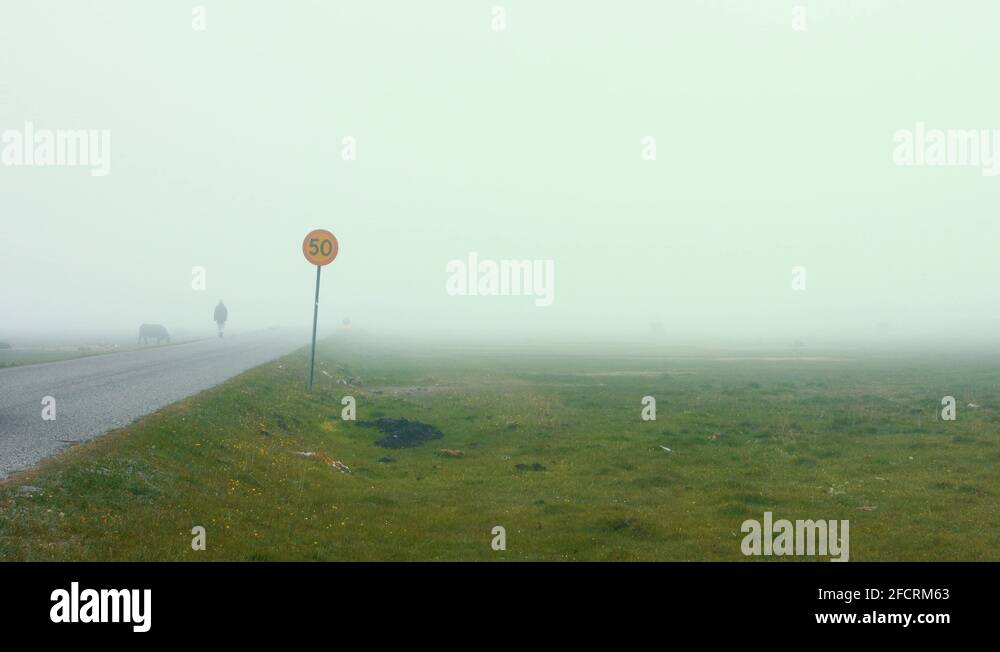 Driving into the mist Stock Videos & Footage - HD and 4K Video Clips ...