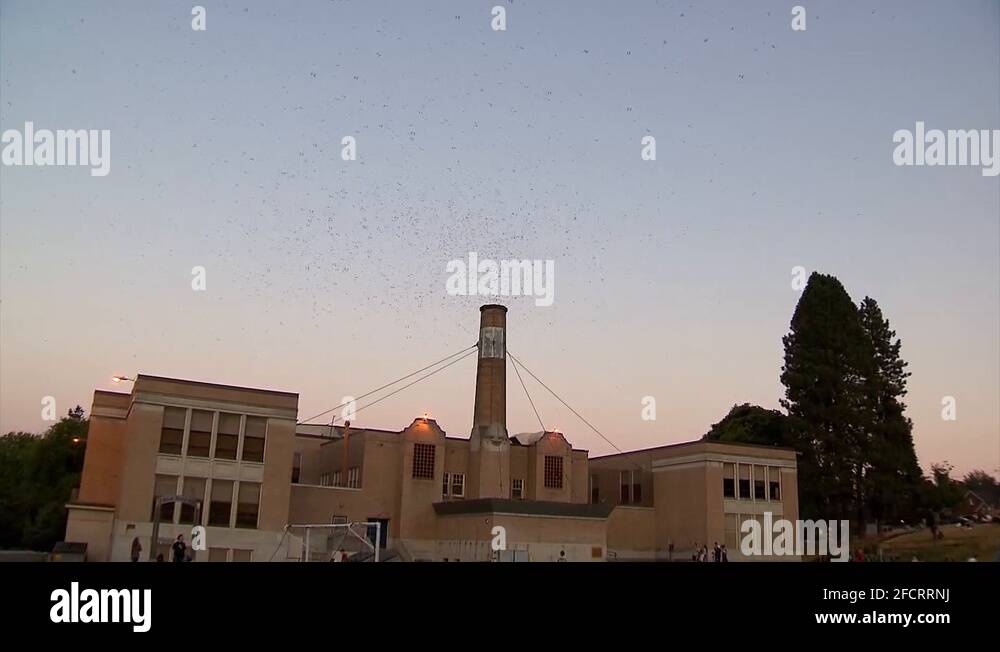 Elementary flying school Stock Videos & Footage - HD and 4K Video Clips ...