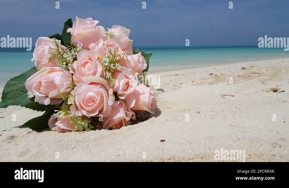 Thailand honeymoon Stock Videos & Footage - HD and 4K Video Clips - Alamy