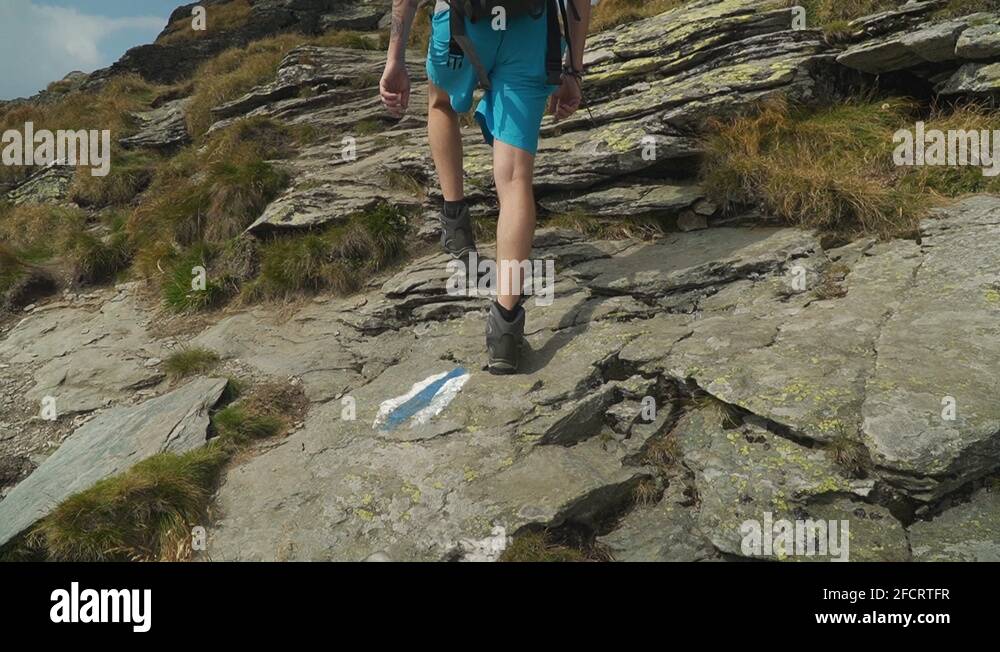 Climbing the daylight and nature Stock Videos & Footage - HD and 4K ...