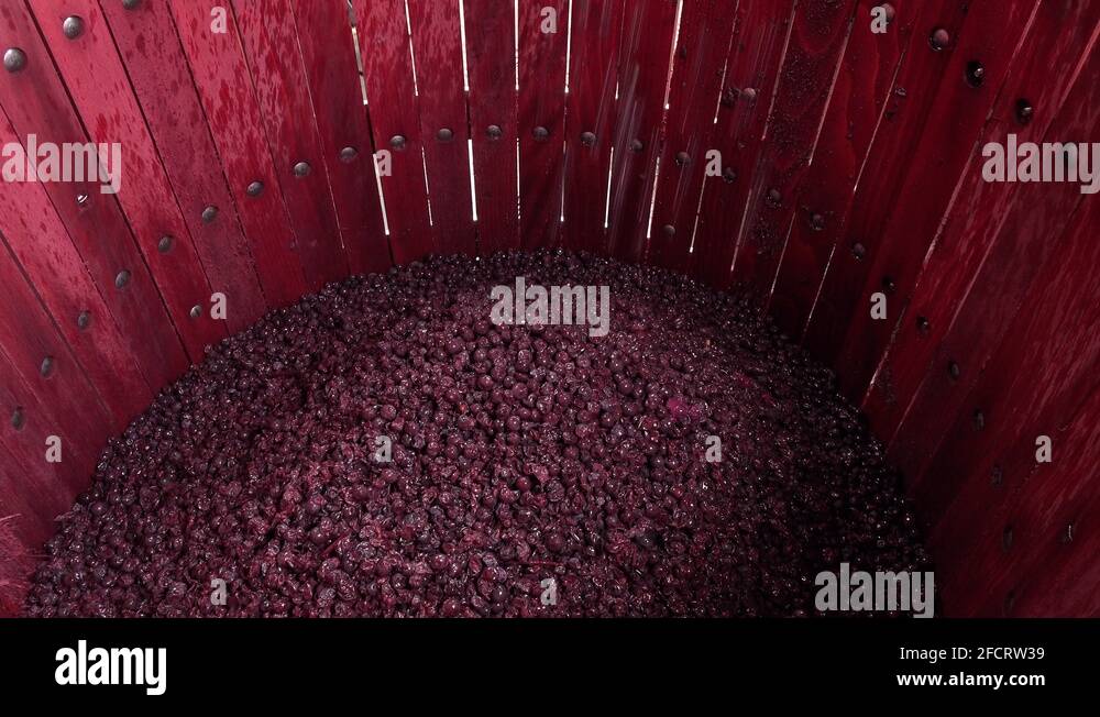Bordeaux wine barrel Stock Videos & Footage - HD and 4K Video Clips - Alamy