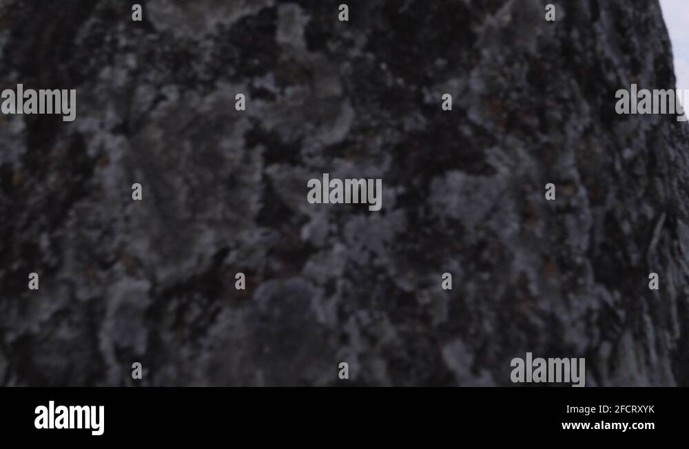 Field of jars Stock Videos & Footage - HD and 4K Video Clips - Alamy