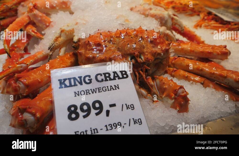 Norwegian king crab Stock Videos & Footage - HD and 4K Video Clips - Alamy