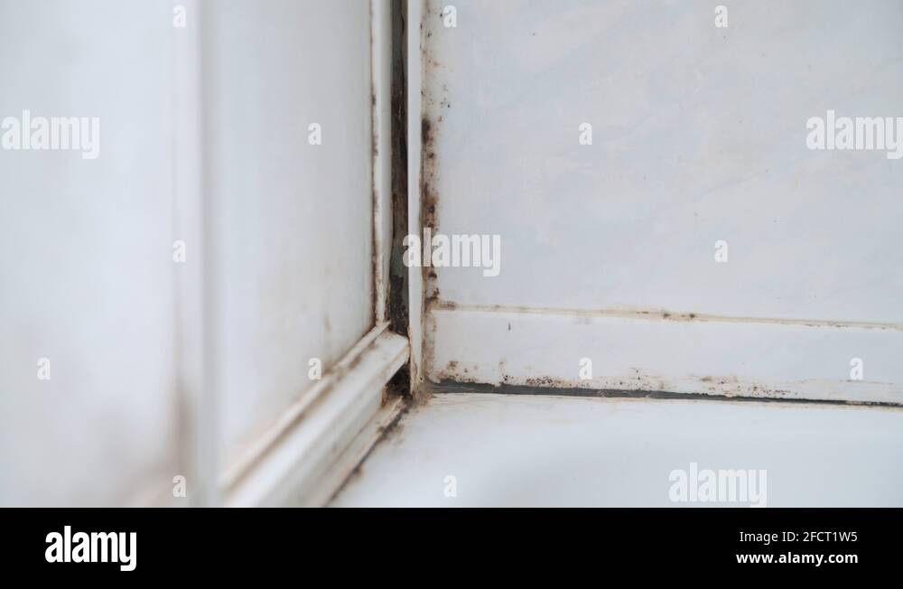 Shower mould Stock Videos & Footage - HD and 4K Video Clips - Alamy