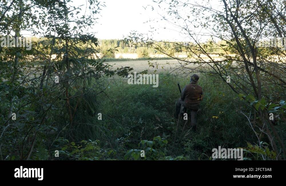 Autumnscenery Stock Videos & Footage - HD and 4K Video Clips - Alamy