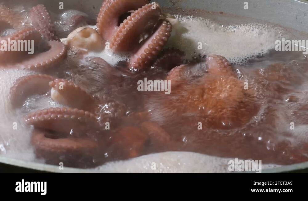 The octopus is cooking in a pot. The water is boiling in a pot of ...