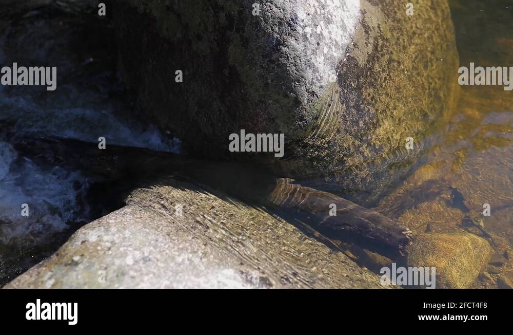 Looking down at a log blocking the way between two boulders in a river ...