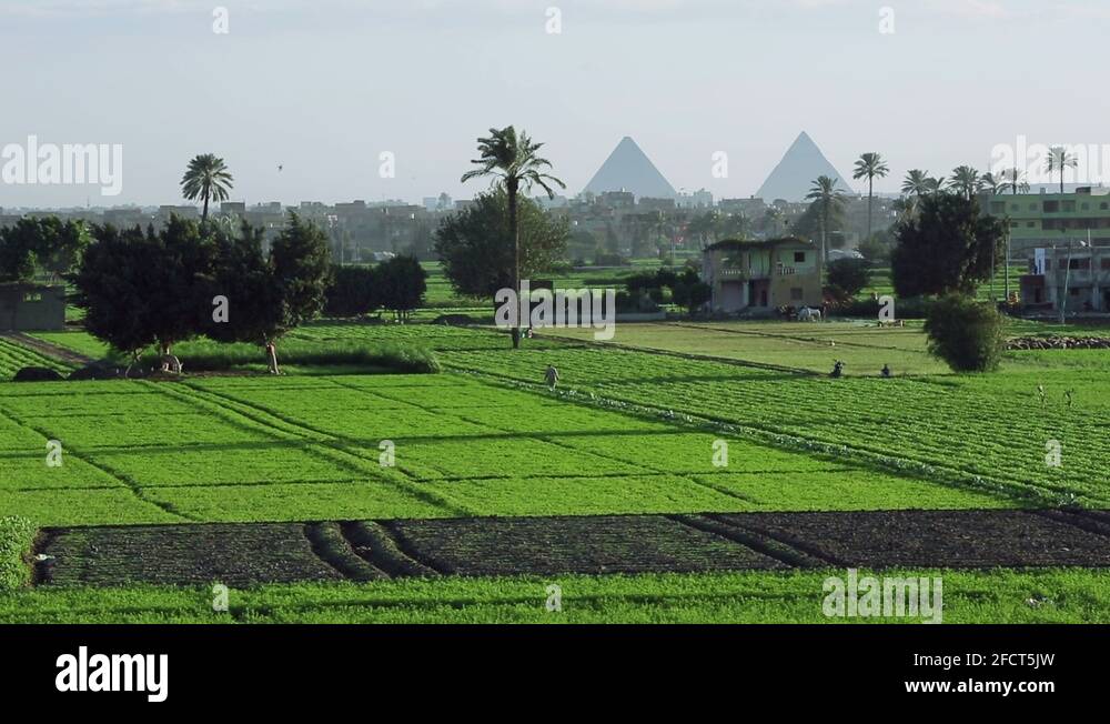 Egypt agriculture pyramid Stock Videos & Footage - HD and 4K Video ...