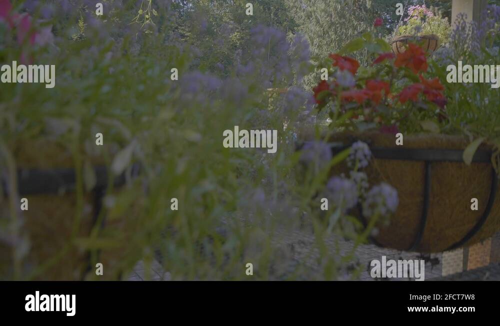 Help teach Stock Videos & Footage - HD and 4K Video Clips - Alamy