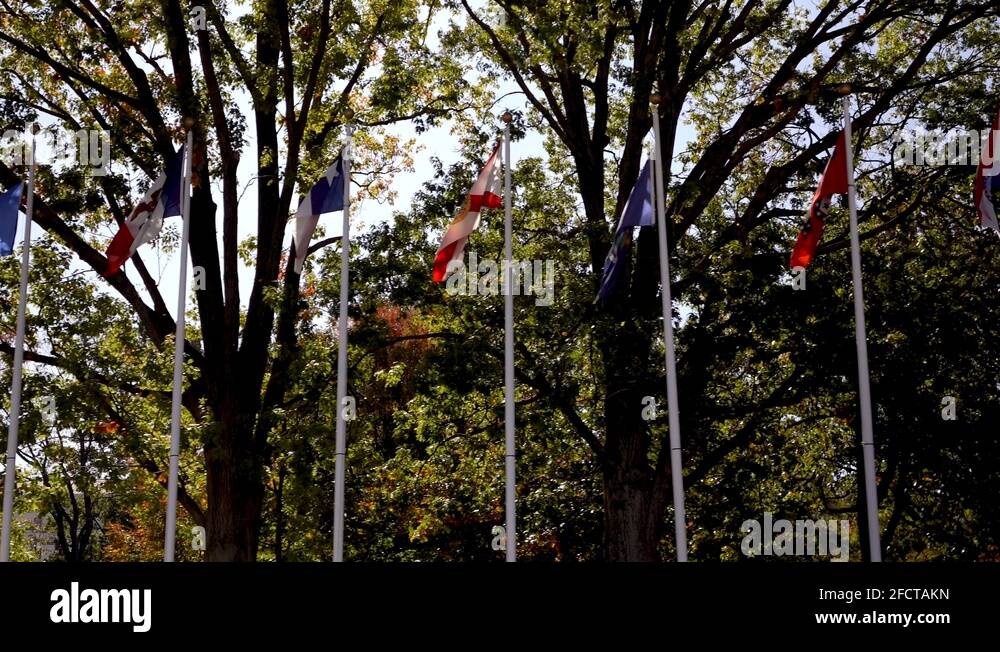 Flags union station in Stock Videos & Footage - HD and 4K Video Clips ...