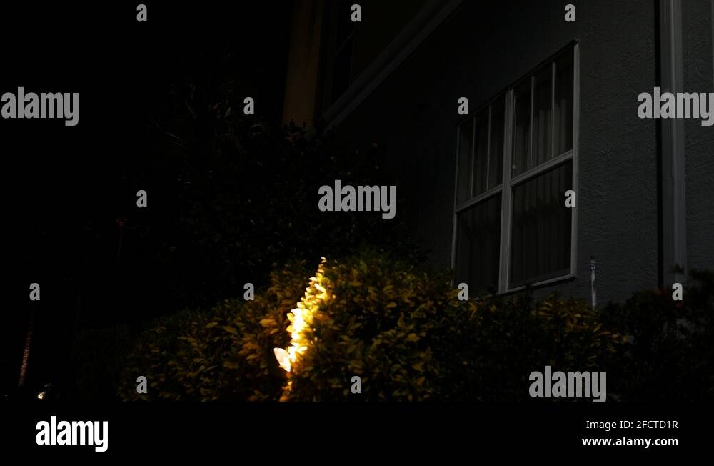 F story Stock Videos & Footage - HD and 4K Video Clips - Alamy