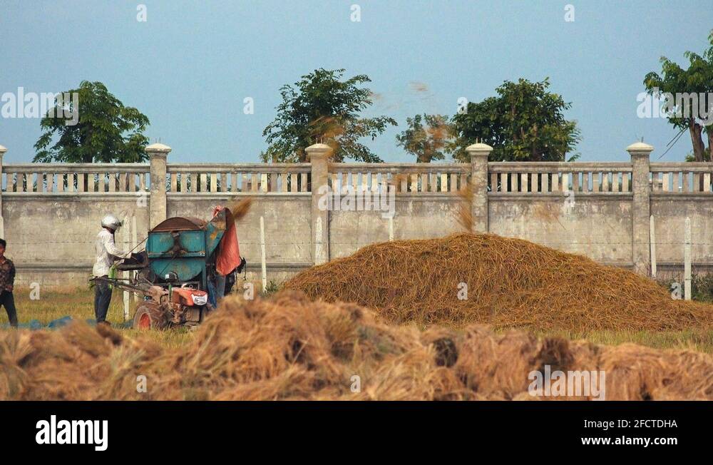 Compost mound Stock Videos & Footage - HD and 4K Video Clips - Alamy