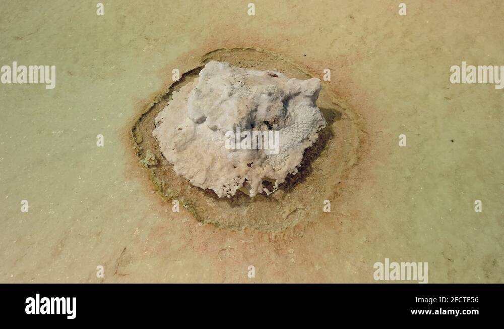 Unique salt formation Stock Videos & Footage - HD and 4K Video Clips ...