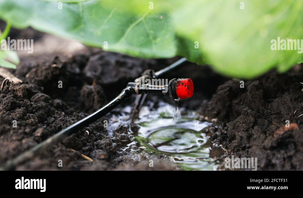 Drip valves Stock Videos & Footage - HD and 4K Video Clips - Alamy