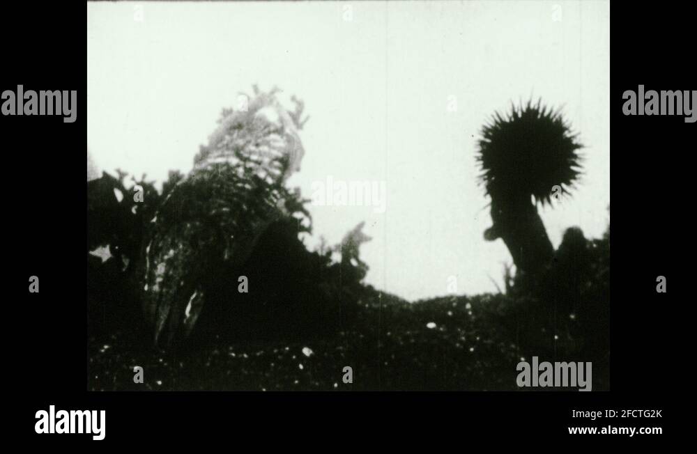 Black smoke trails Stock Videos & Footage - HD and 4K Video Clips - Alamy