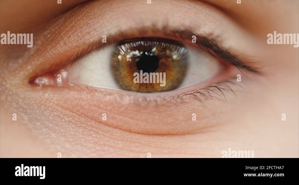 Close up on single human eye looking around & gazing at camera Stock ...